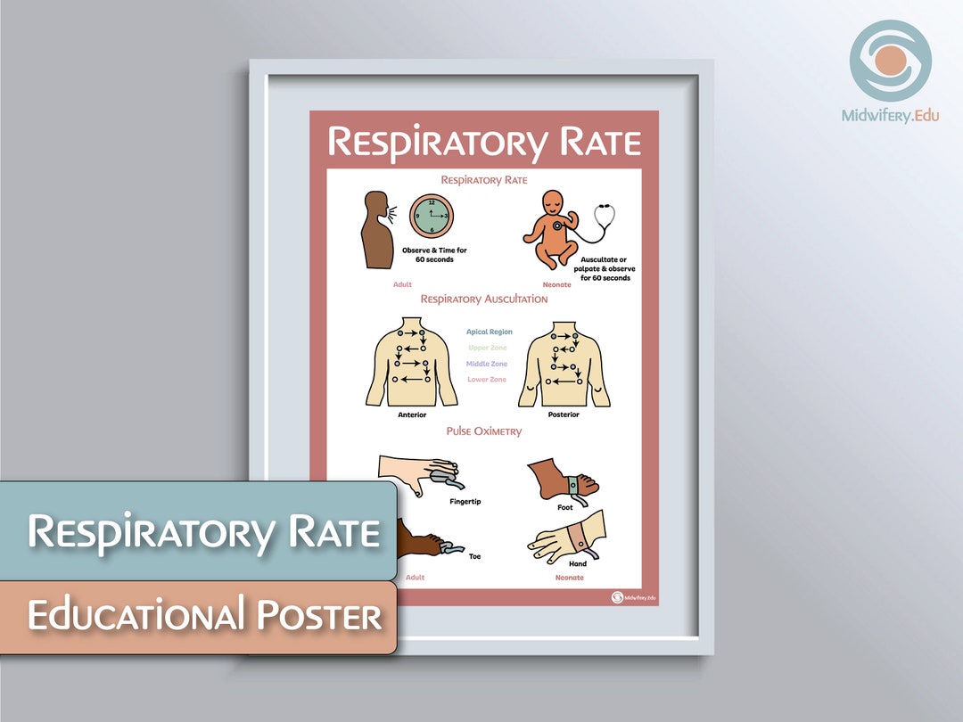 Respiratory Rate Educational Poster - Etsy