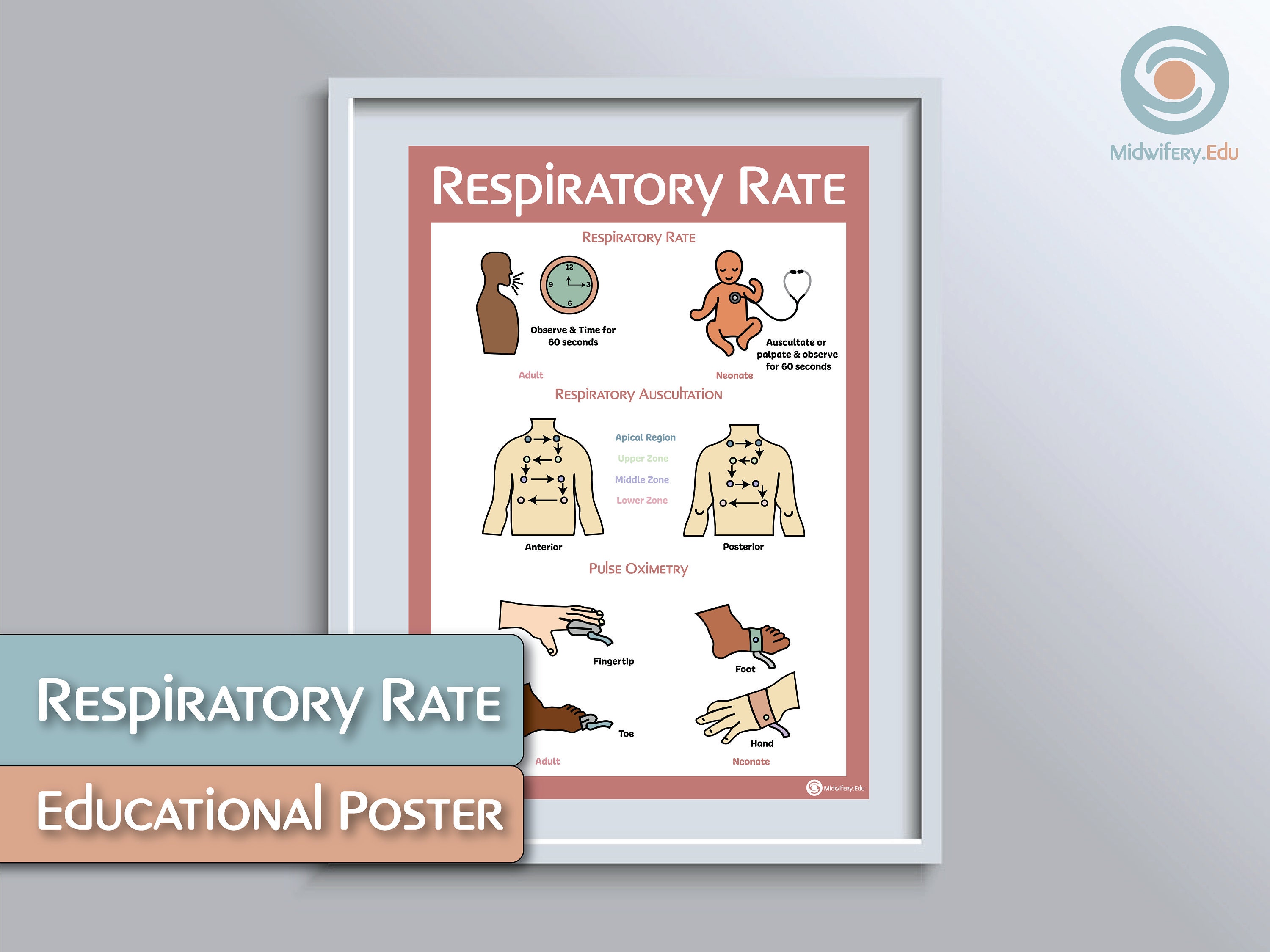 Respiratory Rate Educational Poster - Etsy