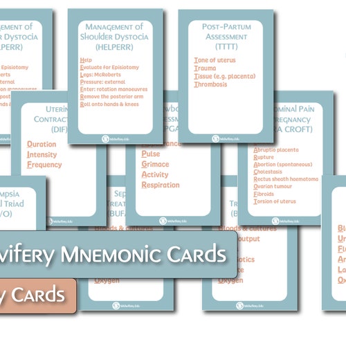 Midwifery Study Card Bundle 360 Study Cards - Etsy Australia