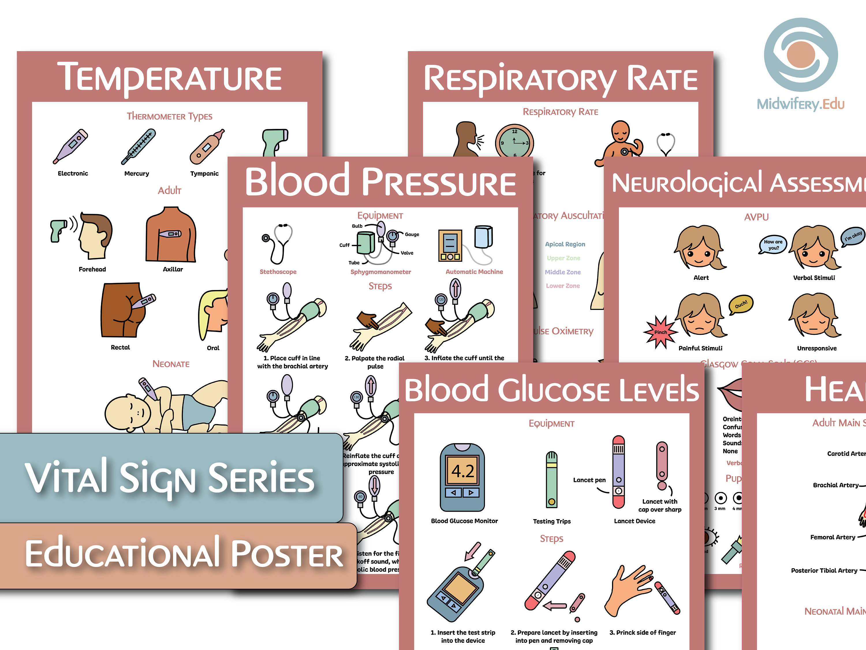Vital Signs Series Educational Posters - Etsy