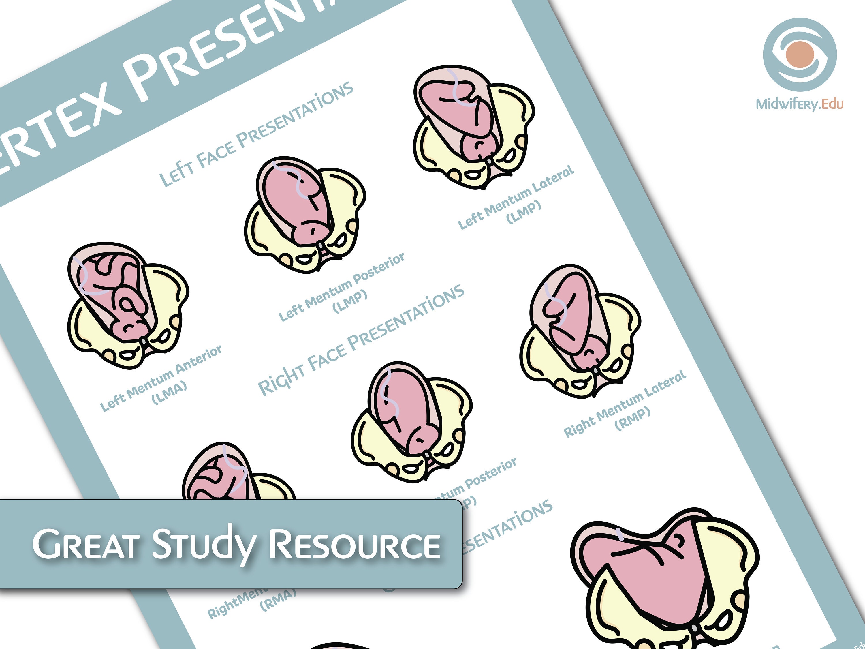 Face Presentation Mentum Posterior