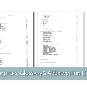 Anatomy & Physiology for Midwives Study Guide - Etsy