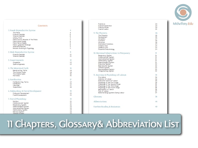 Anatomy & Physiology for Midwives Study Guide - Etsy