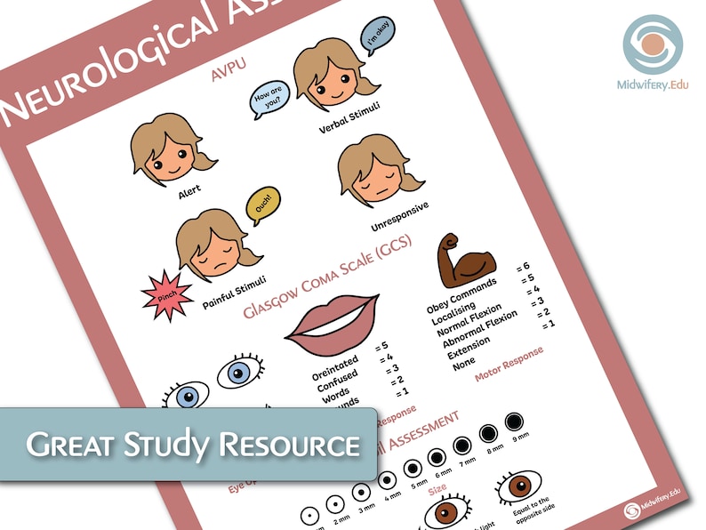 Vital Signs Series Educational Posters - Etsy