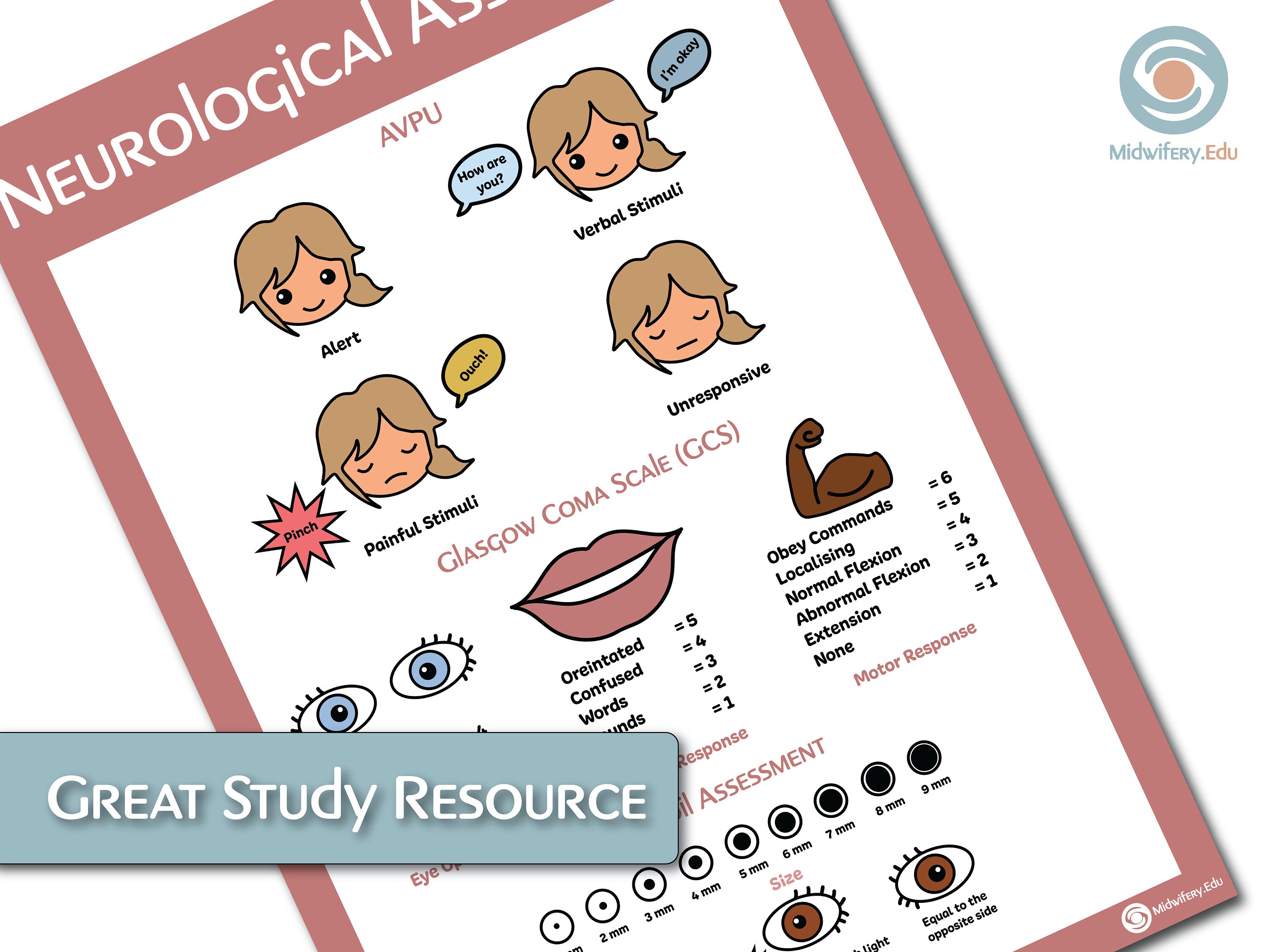 Vital Signs Series Educational Posters - Etsy