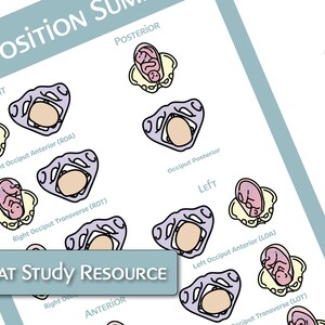 Foetal/fetal Position Summary Educational Poster - Etsy