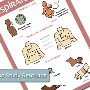 Vital Signs Series Educational Posters - Etsy