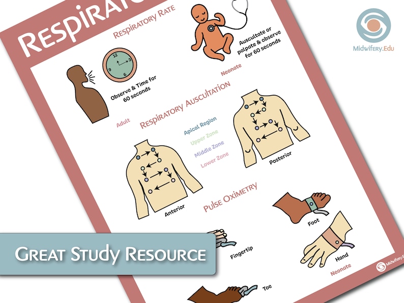 Vital Signs Series Educational Posters - Etsy