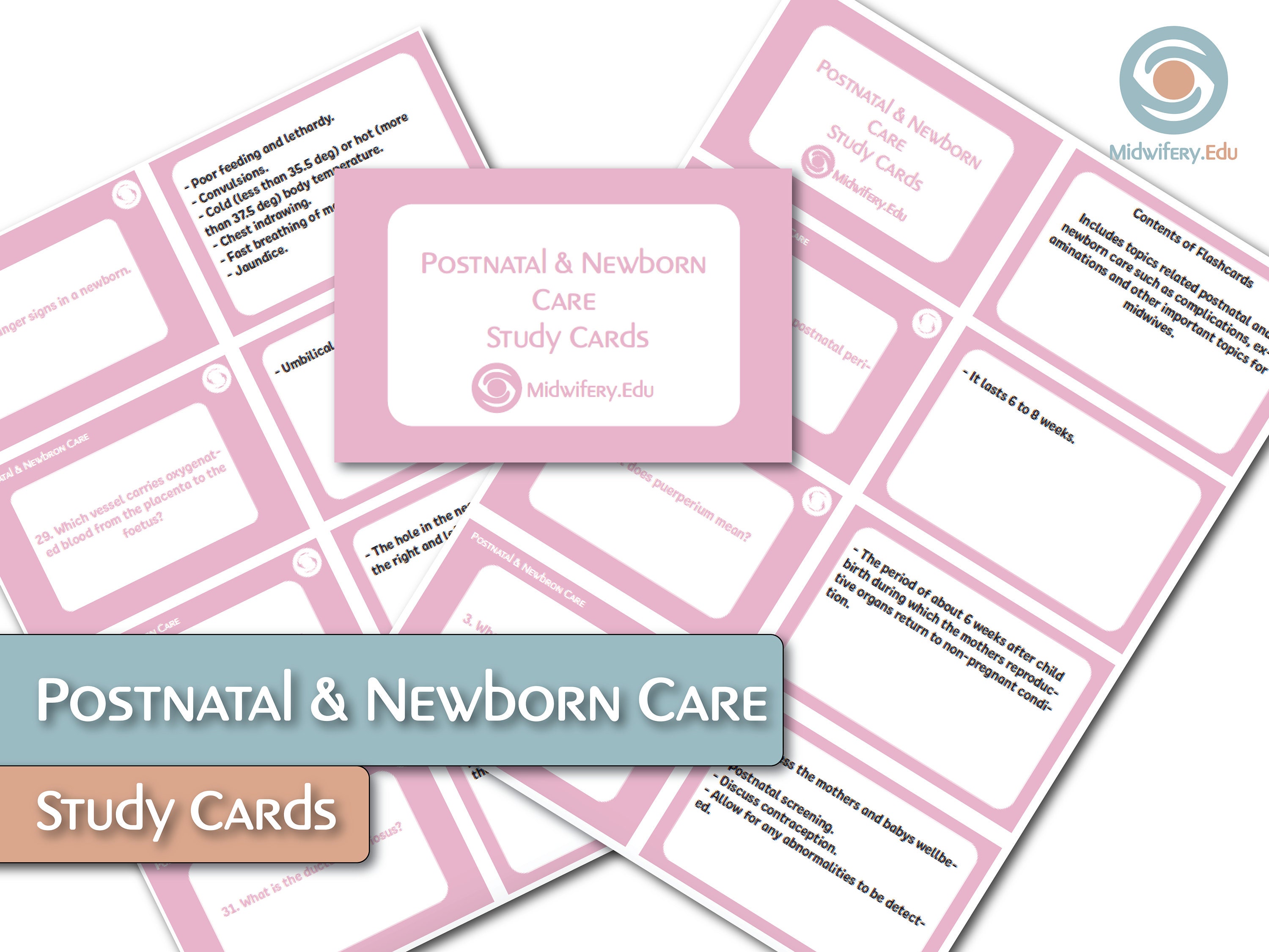 Postnatal & Newborn Care Study Cards - Etsy Australia
