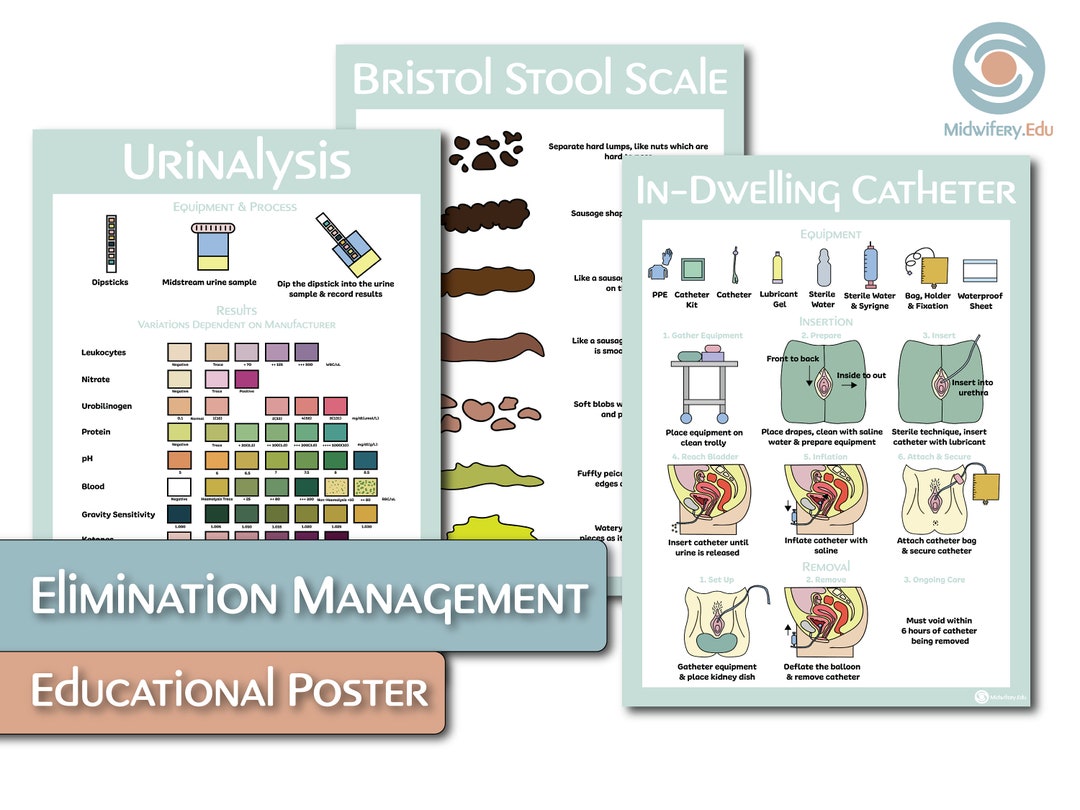 Elimination Management Educational Posters - Etsy