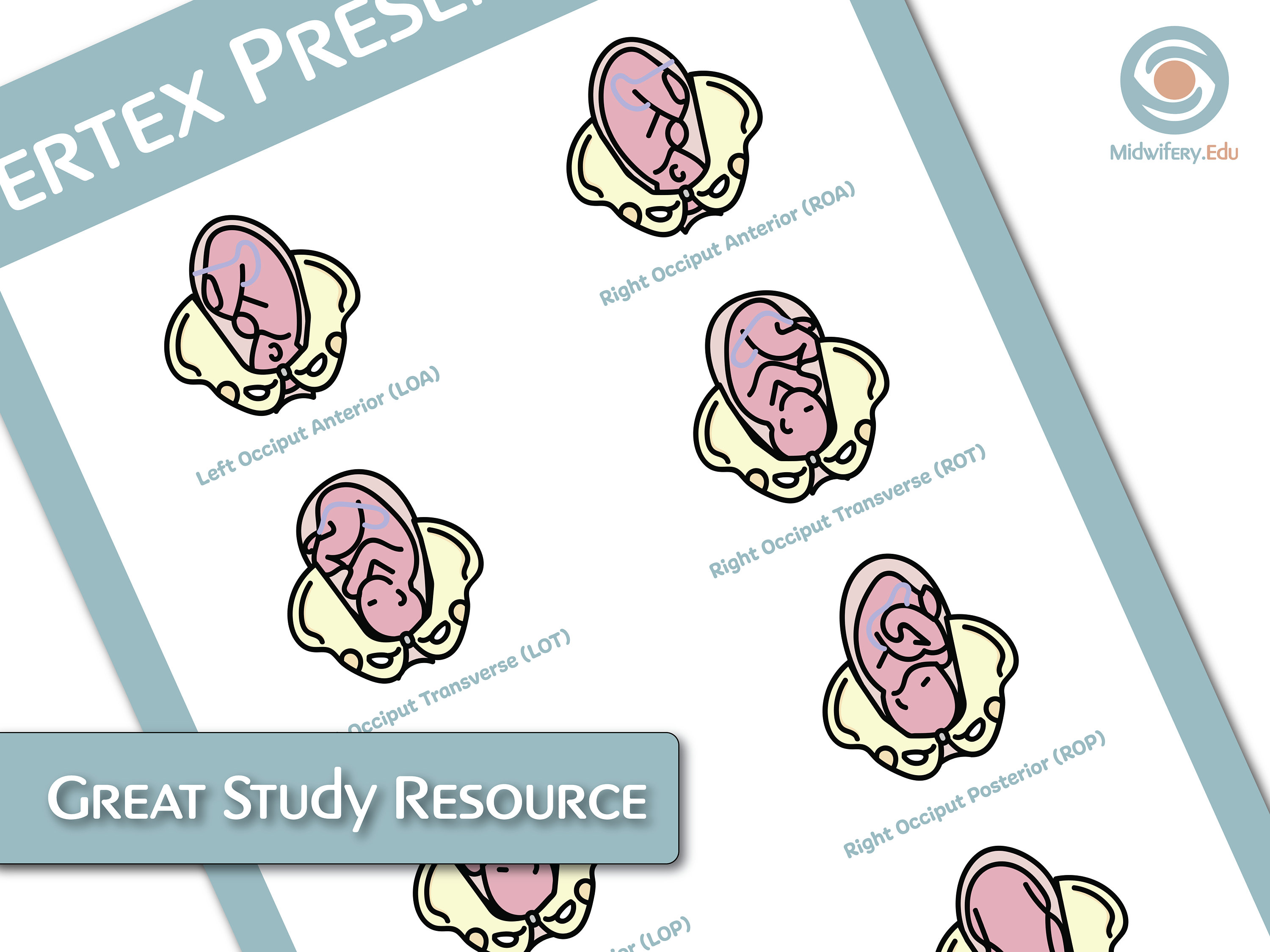 Vertex Presentations - Etsy