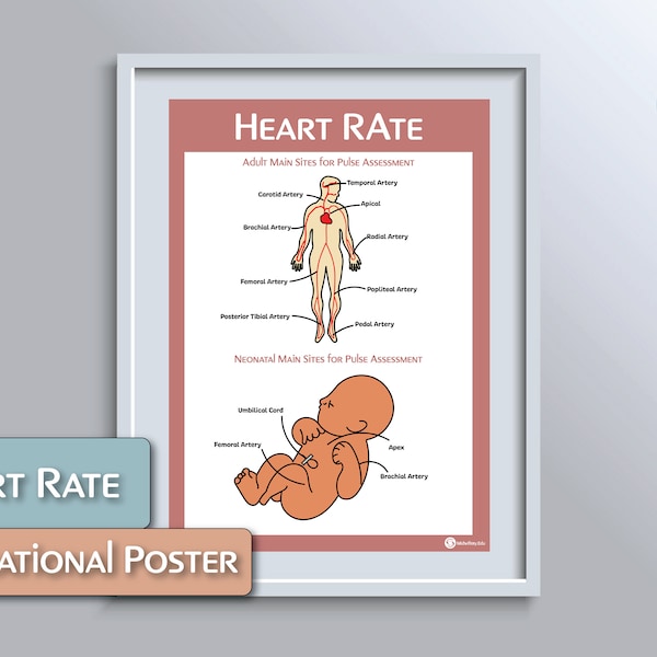 Heart Rate - Etsy