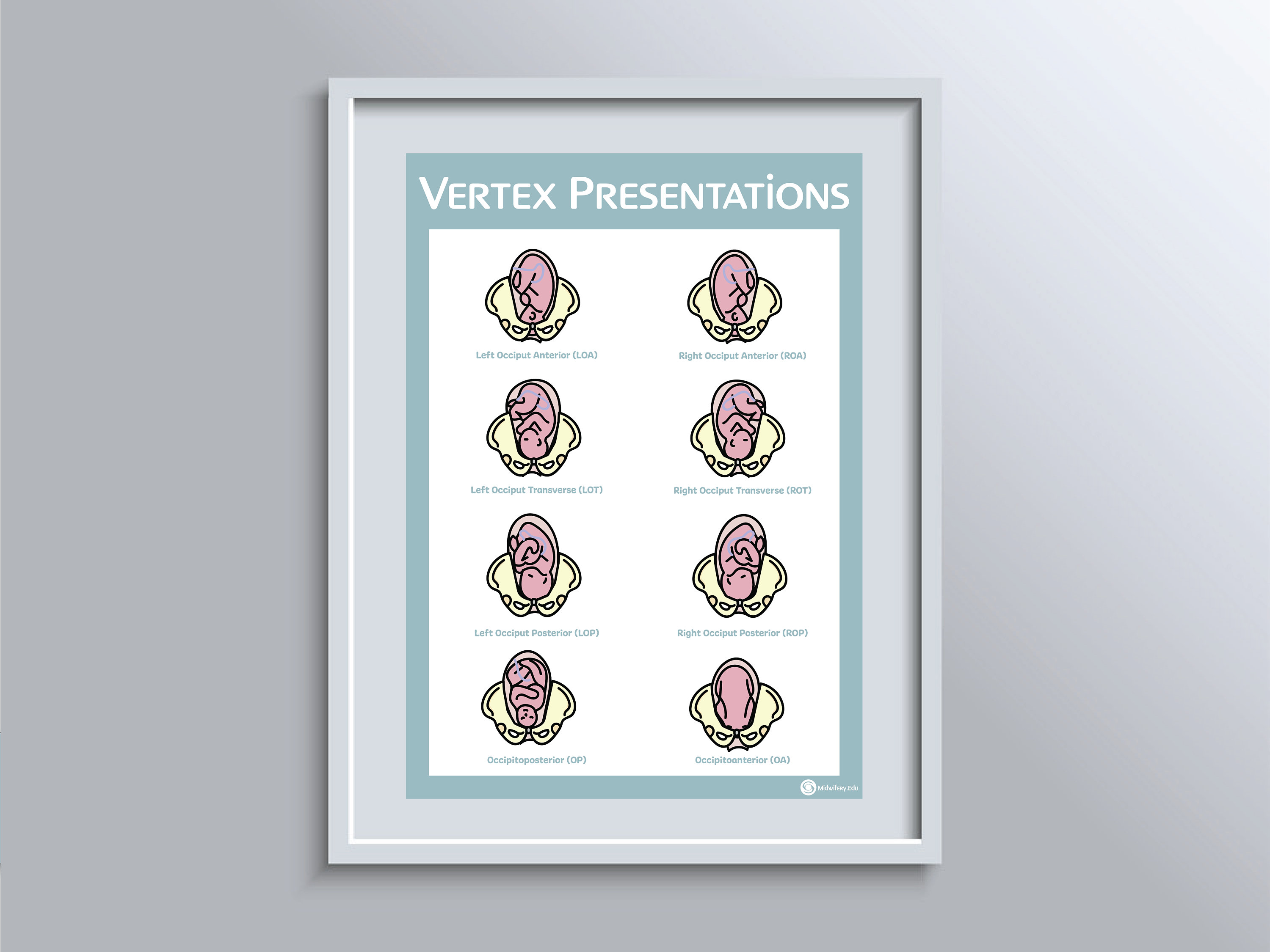 Vertex Presentations - Etsy
