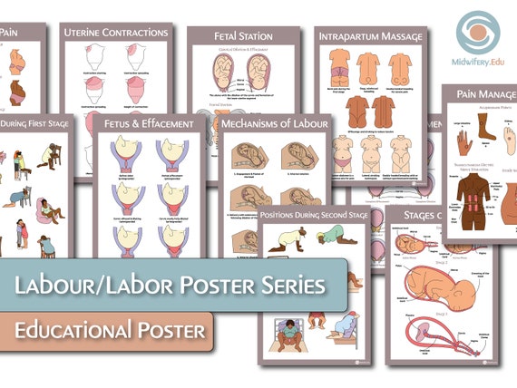 Labour/labor Education Poster Bundle - Etsy