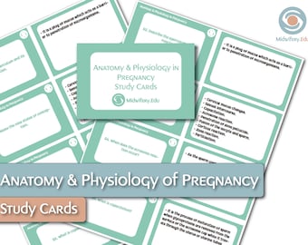 Anatomy & Physiology for Midwives Study Guide | Etsy