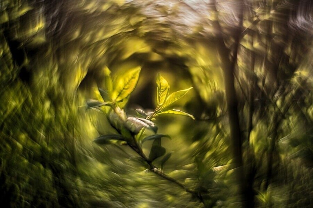 Petzval Modified Lens Helios 44M 58mm F2 "bubble Effect" Vintage Lens ...