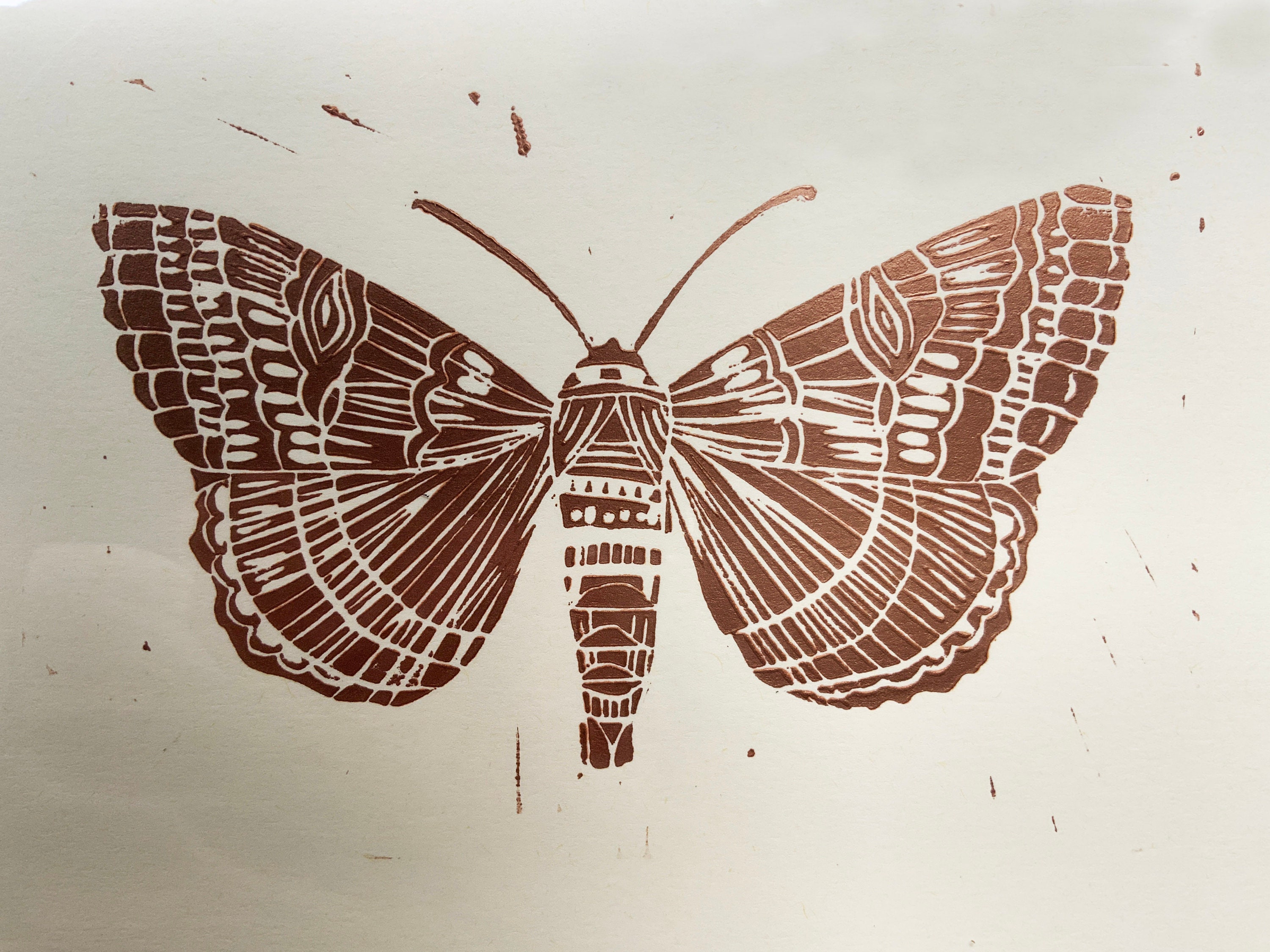 Linocut Print Moth Greetings Card - Handprinted - A5/A6 Gold Ink - Etsy UK