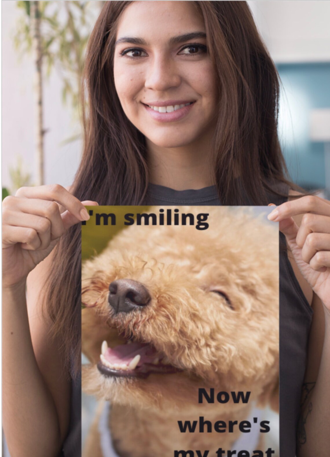 Cute Dog Sign Funny Vintage Dog Sign Vertical Aluminum Pet | Etsy