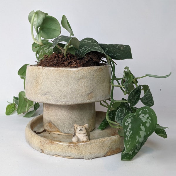 Cute Unique Plant Pots - Etsy