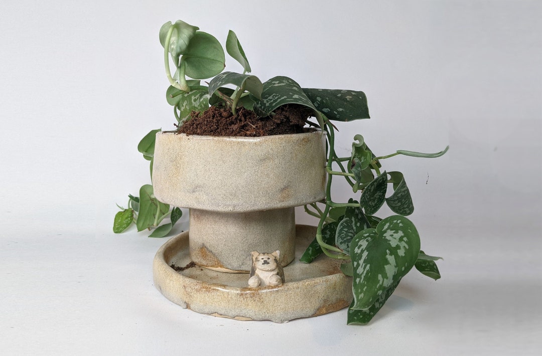 Cute Earthy Ceramic Pot, Unique Handmade Plant Pot and Water Tray ...