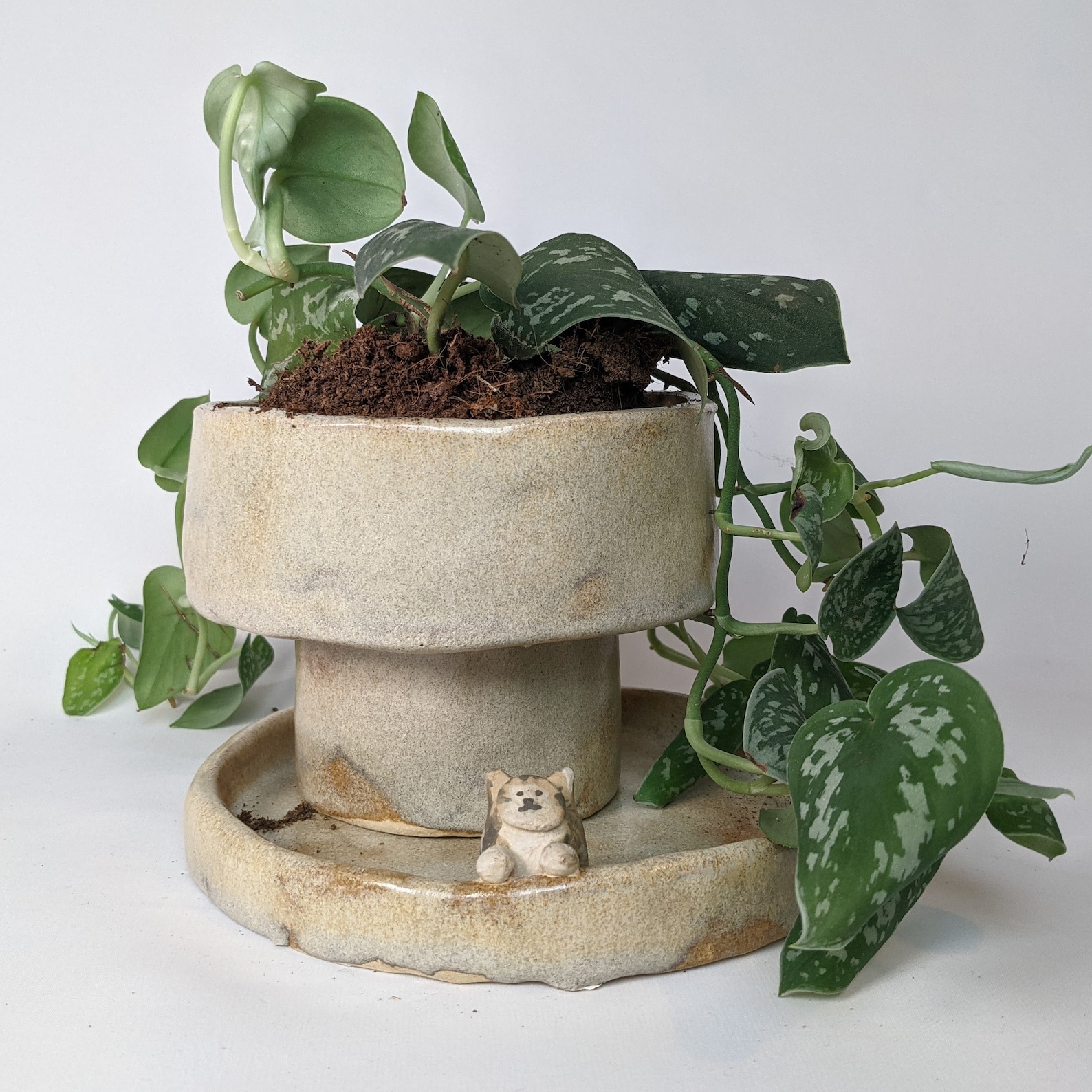 Cute Earthy Ceramic Pot, Unique Handmade Plant Pot and Water Tray ...