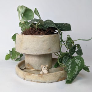 Cute Earthy Ceramic Pot, Unique Handmade Plant Pot and Water Tray ...