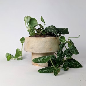 Cute Earthy Ceramic Pot, Unique Handmade Plant Pot and Water Tray ...
