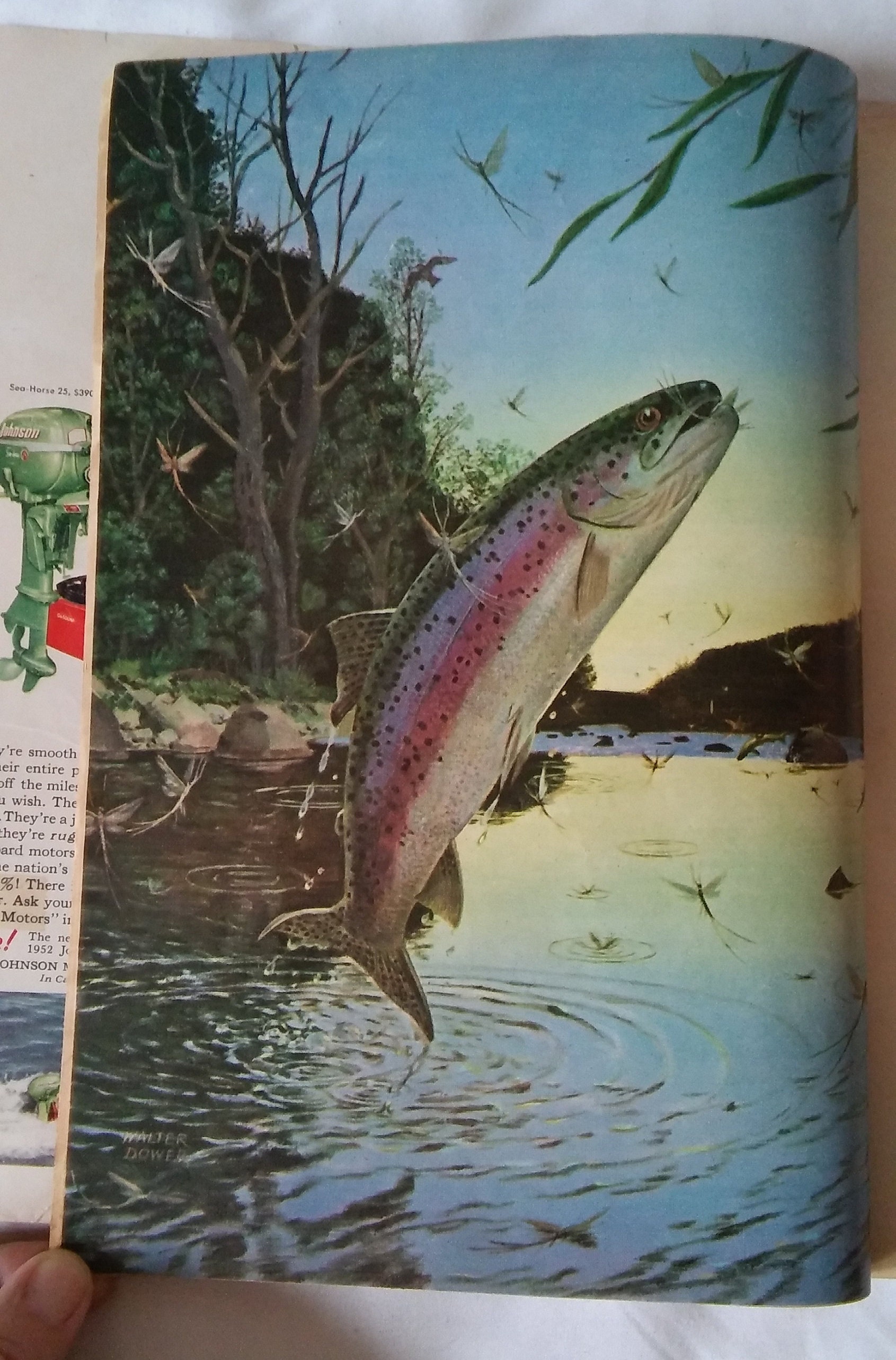 June 1952 Field & Stream 130 Pages, Complete W/binder Cover Pages ...