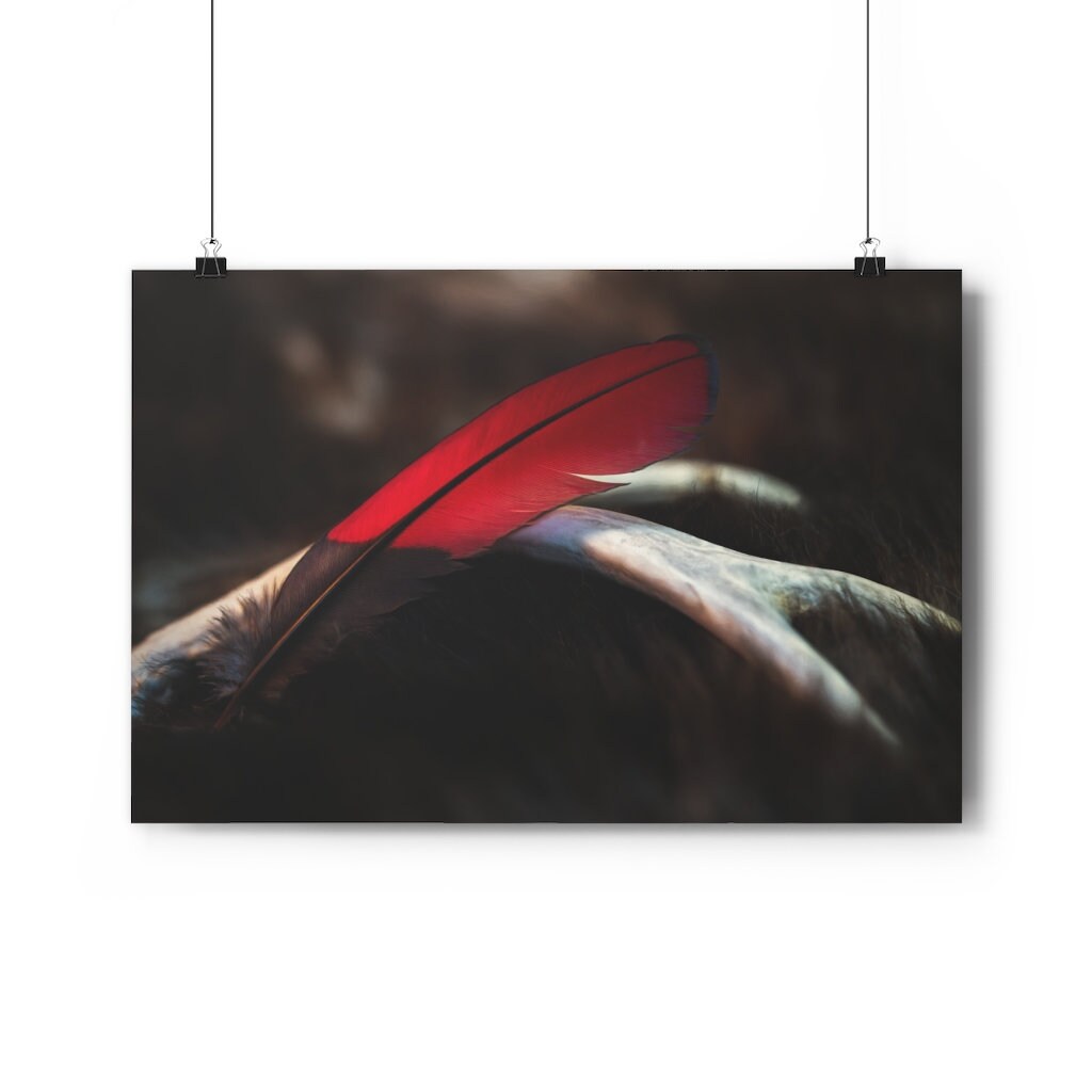 Red Feather Print Red Turaco Feather Feather Wall Art Digital Primitive ...