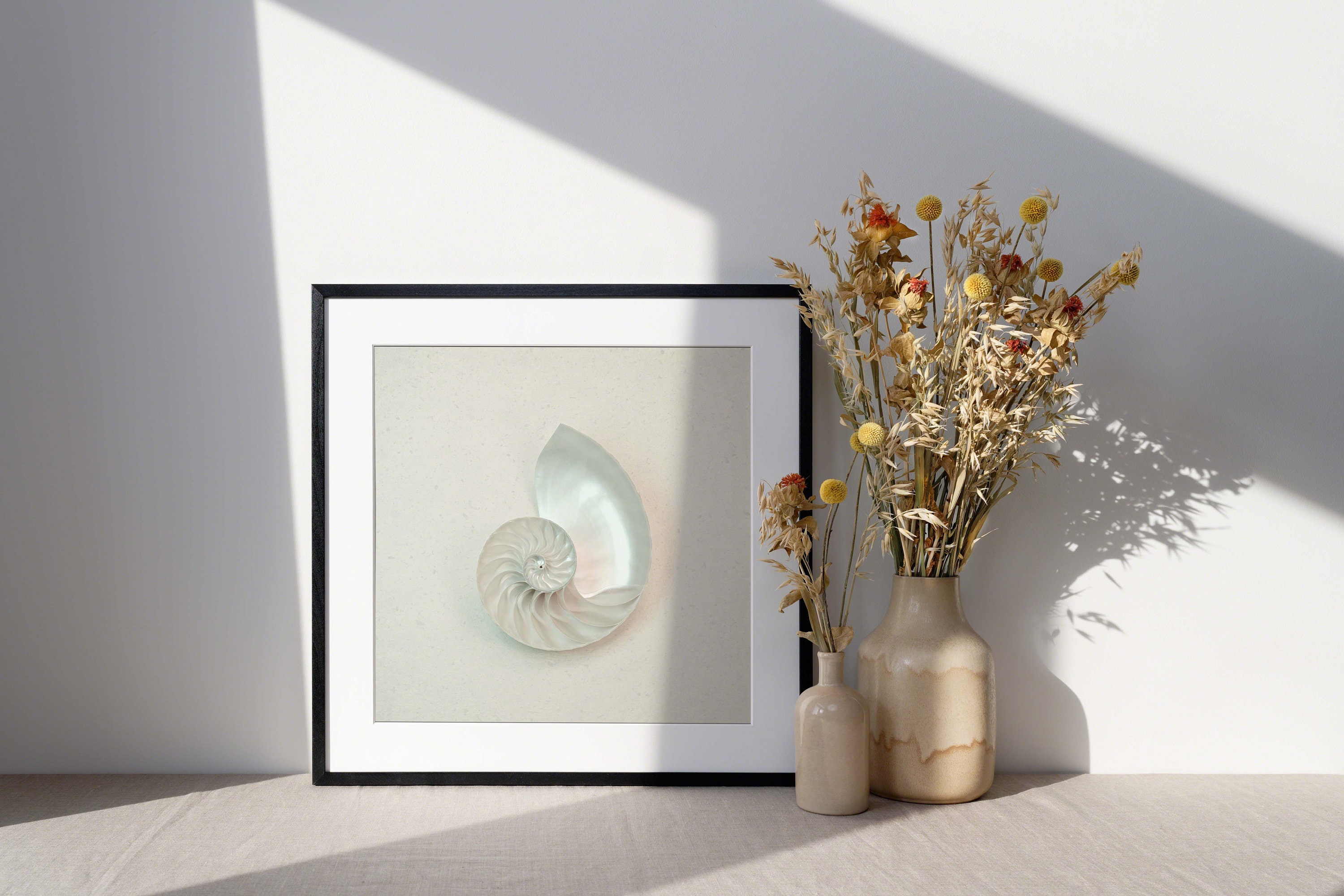 Beach Wall Art Minimalist Seashell Nautilus Shell Interior Seashell ...