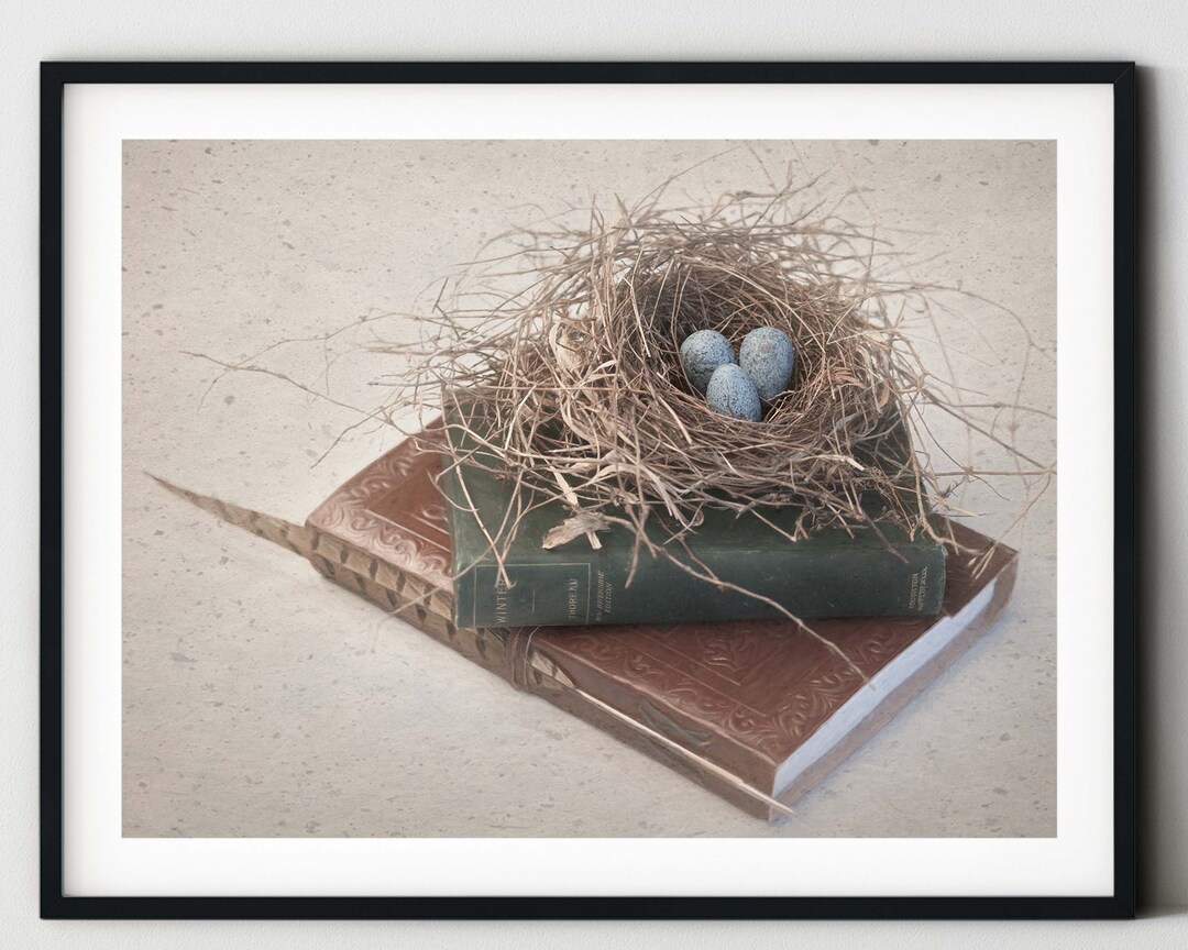 Birds Nest on Vintage Books | Farmhouse | Rustic | Bird Nest Wall Art ...