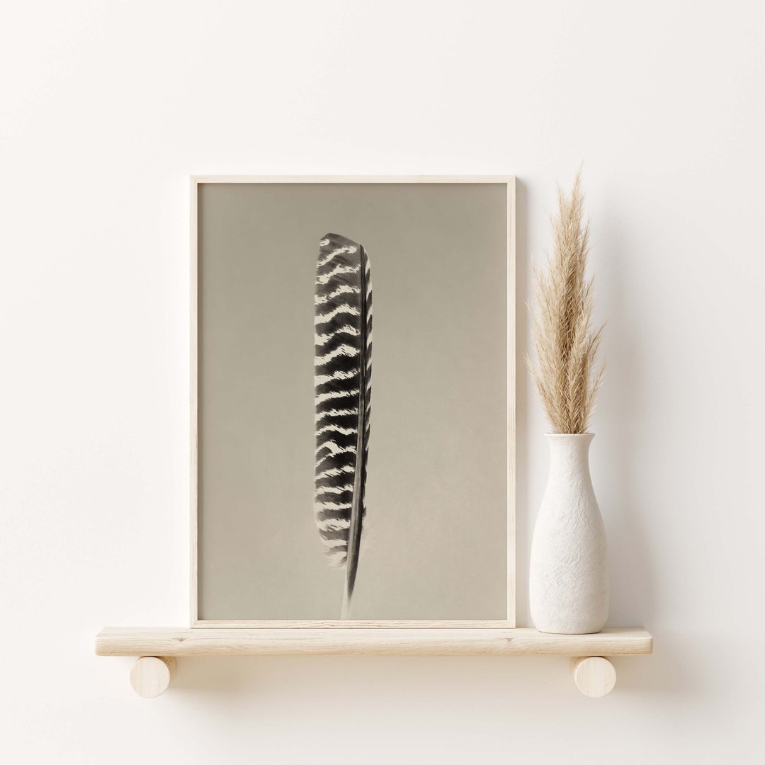 Minimalist Feather Print | Wild Turkey Feather Wall Art | Digital ...