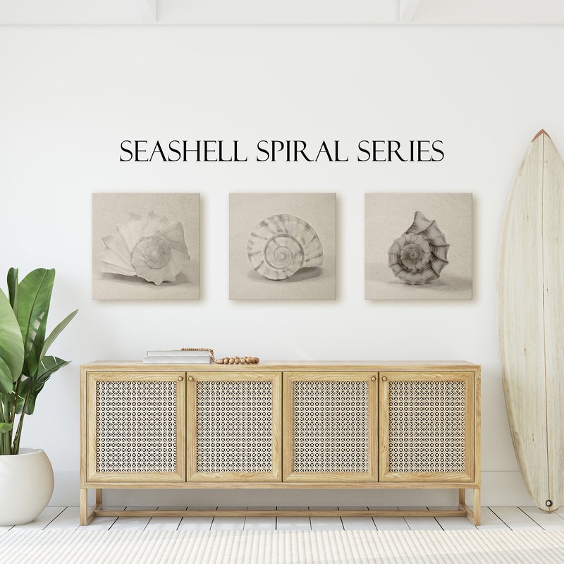 Sepia Shell Prints - Etsy