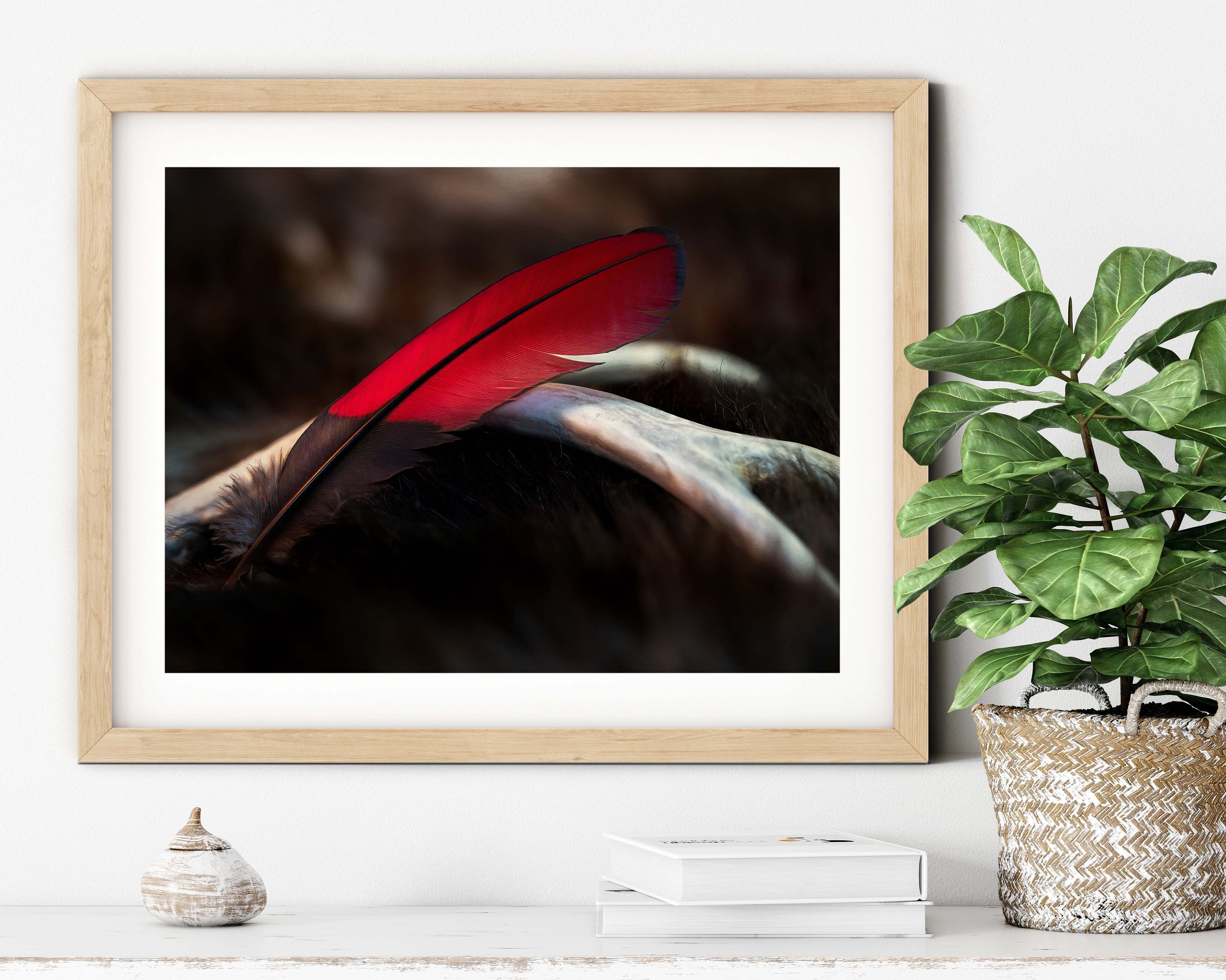 Red Feather Print Red Turaco Feather Feather Wall Art Digital Primitive ...