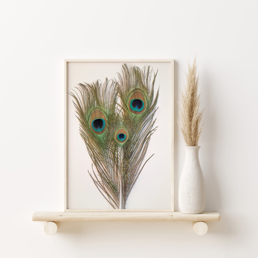 Peacock Feather Art Print Trio 1 Peacock Feather Printable - Etsy