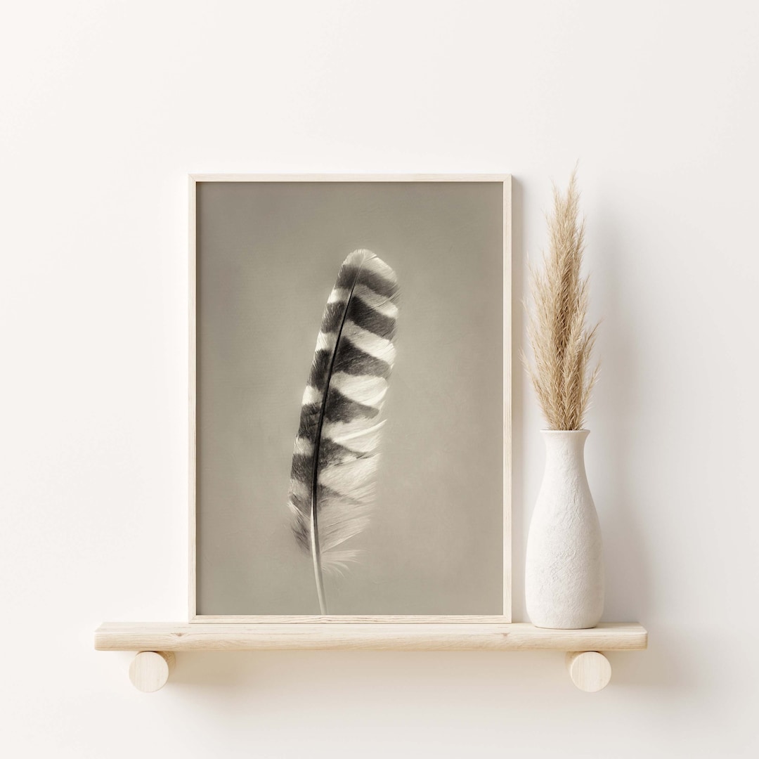 Impresión de plumas, Pluma de búho barrada, Arte de pared de plumas ...
