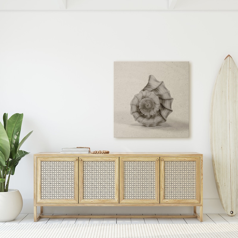 Sepia Shell Prints - Etsy