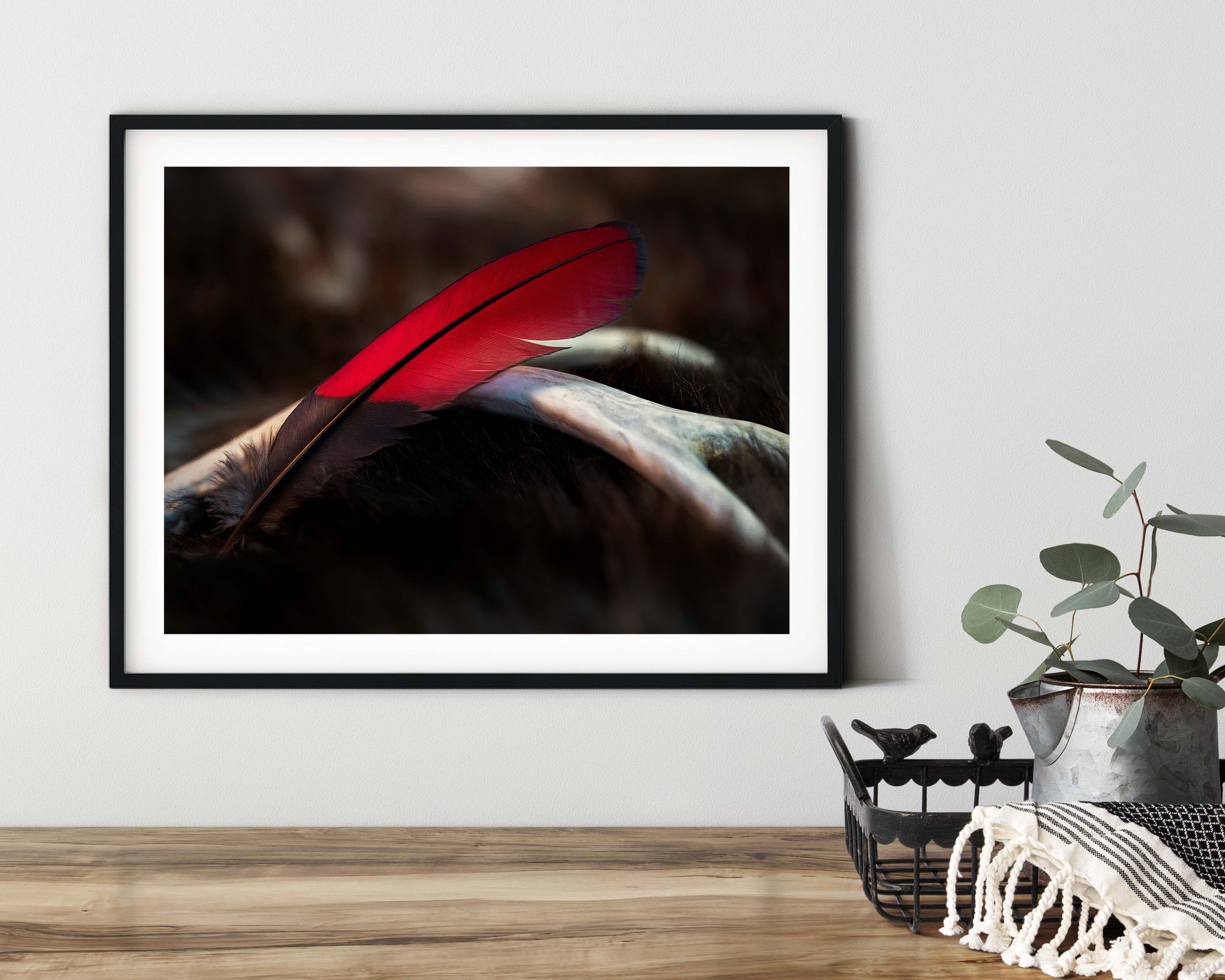 Red Feather Print Red Turaco Feather Feather Wall Art Digital Primitive ...