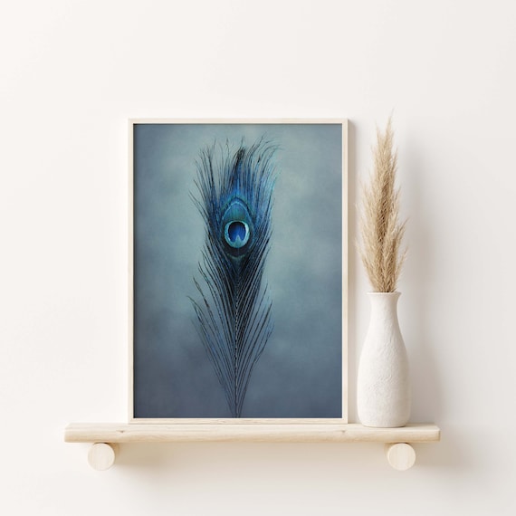 Peacock Feather Printable Peacock Feather Art Feather Wall | Etsy