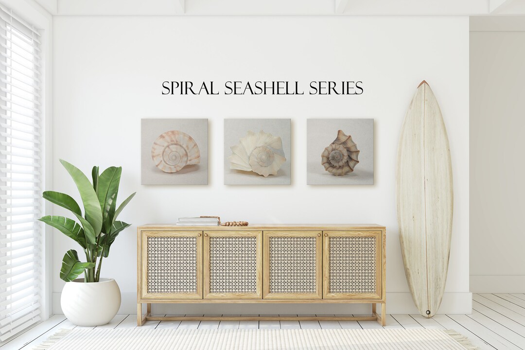 Beach Wall Art | Minimalist Seashell Spiral Series Set of 3 in Color ...