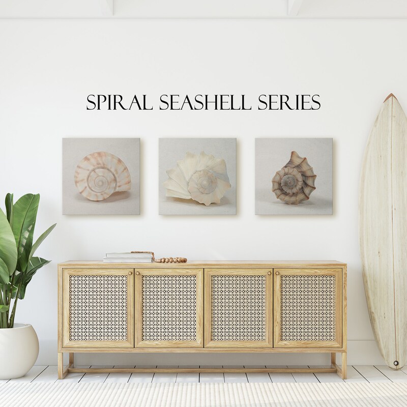 Seashell Print - Etsy