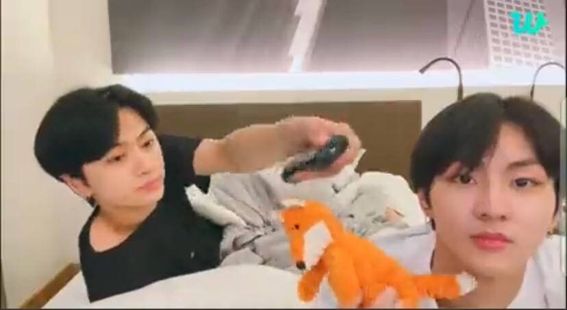 Enhypen Fox Sunoo Plushie Sunoo Plushie Enhypen Plushie - Etsy Australia