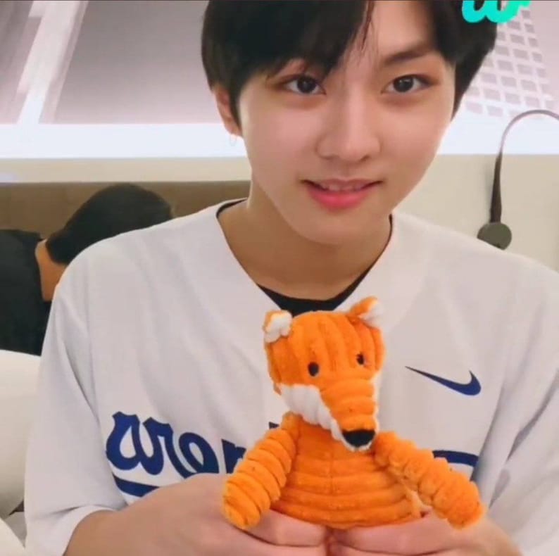 Enhypen Fox Plushie | Sunoo Corduroy Toy (pre-order) - Etsy Australia