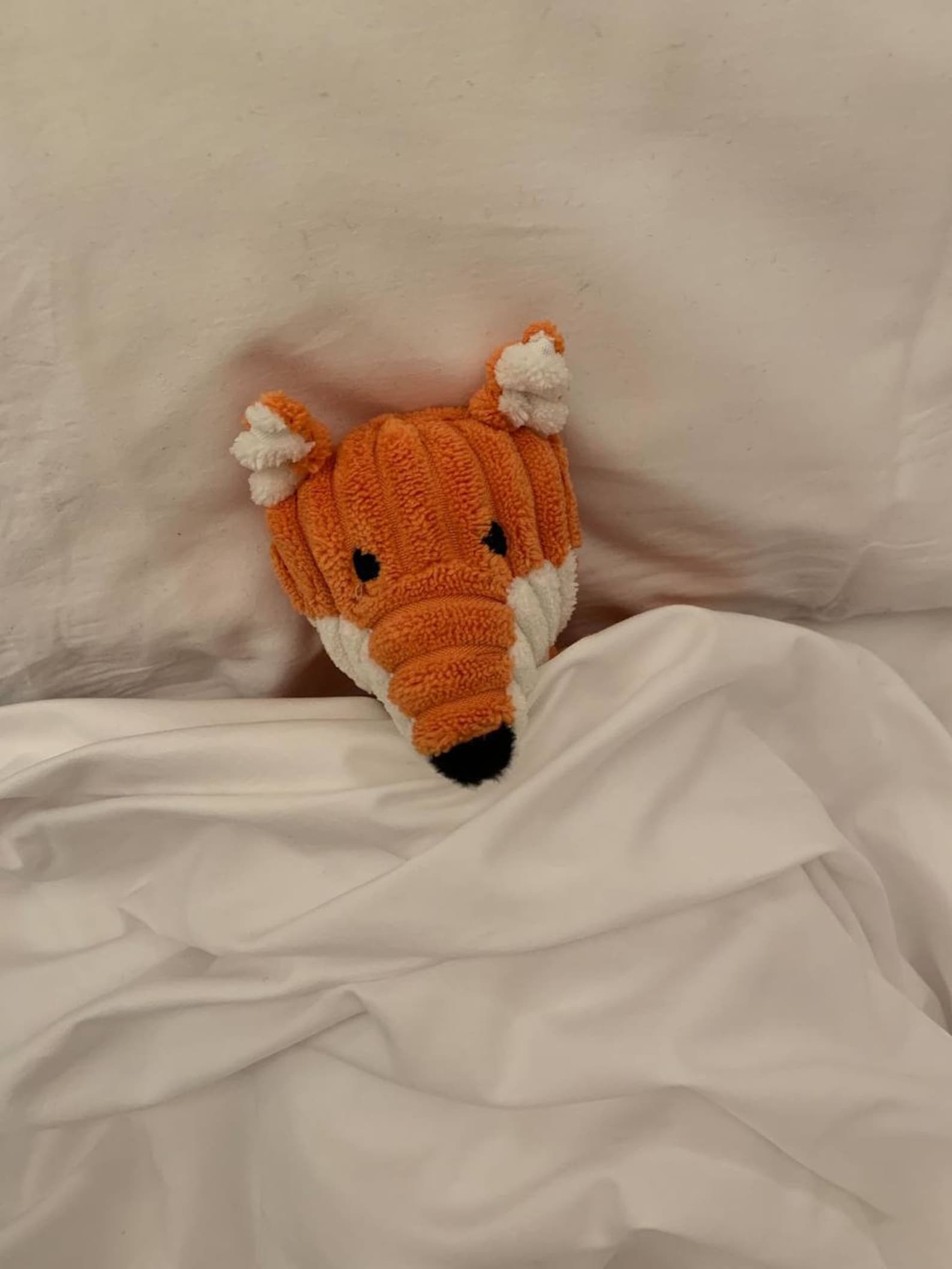 Enhypen Fox Sunoo Plushie | Sunoo Plushie | Enhypen Plushie - Etsy