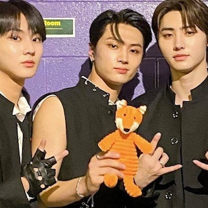 Enhypen Fox Sunoo Plushie Sunoo Plushie Enhypen Plushie - Etsy Canada