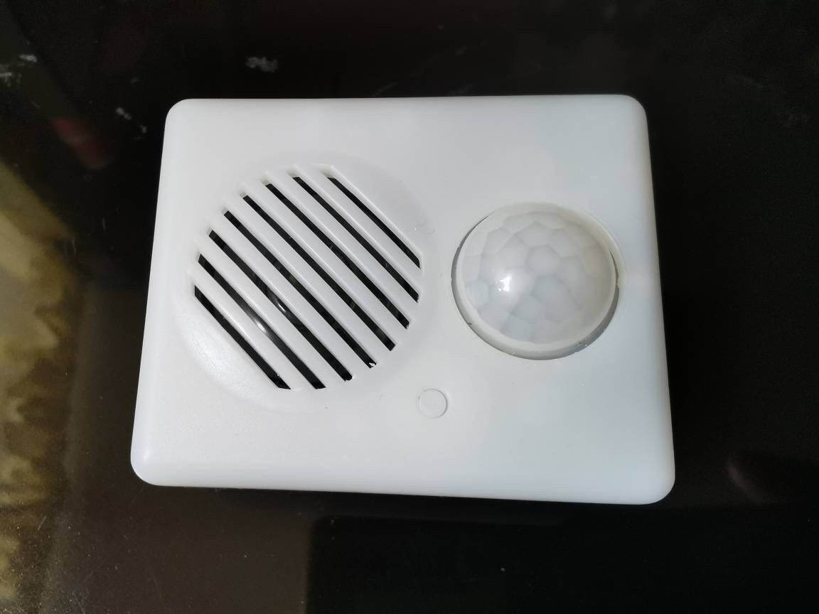 Sound Box With Motion Sensor Good Guys Doll - Etsy