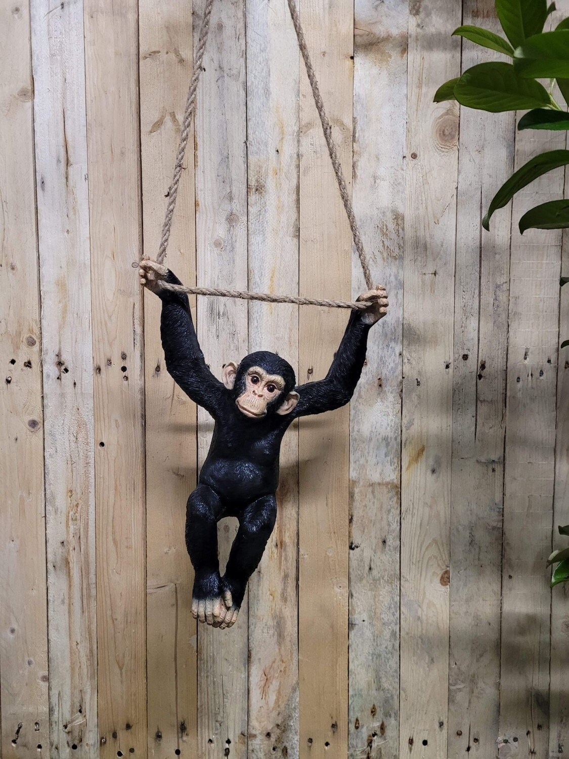 Real Life Monkey for sale | Only 4 left at -75%