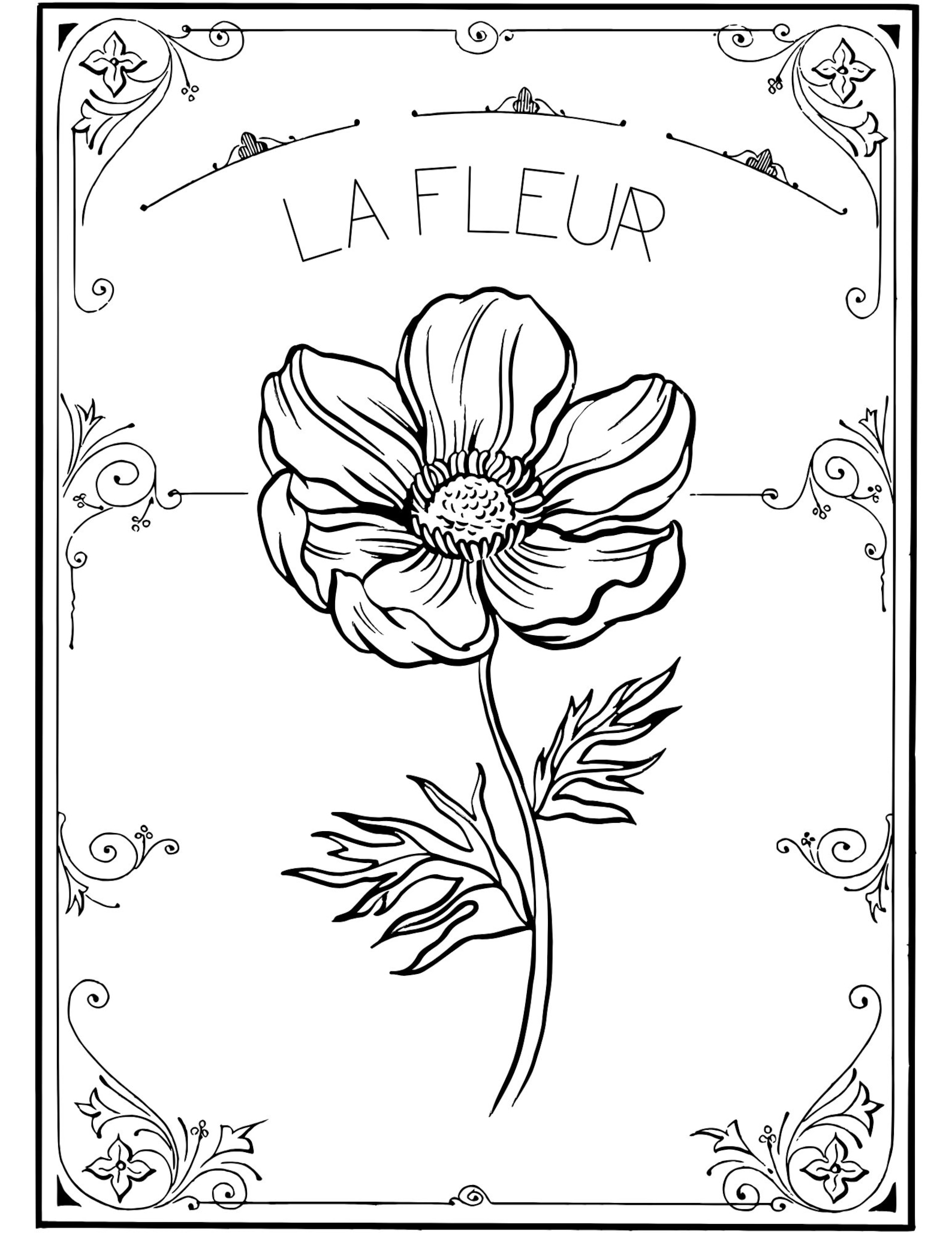 The Flower French Coloring Page Digital Download Coloring Sheet for ...