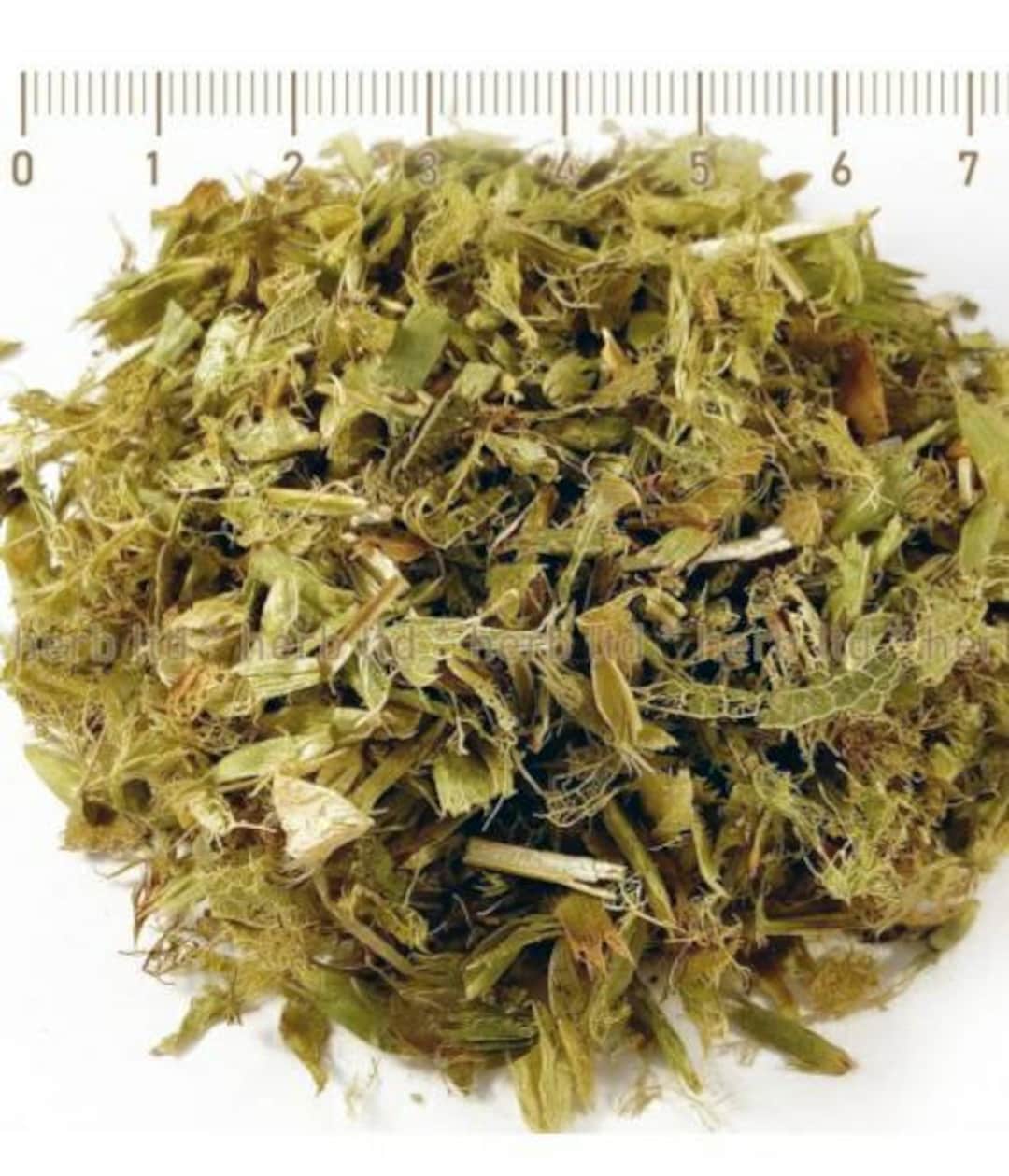 Mursal Tea Cut Stalk Pirin Tea Sideritis Scardica Griseb. Mursal Tea ...