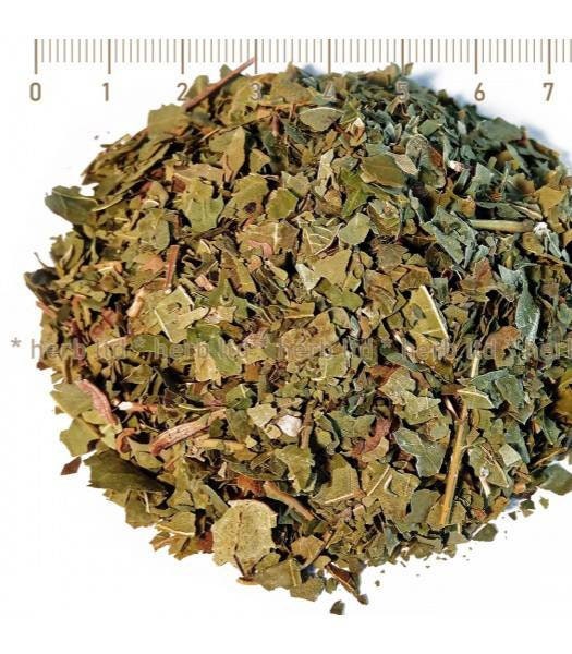 Cotinus Coggygria Scop.folk Names of the Herb Kukuch, Rui, Smradlech ...